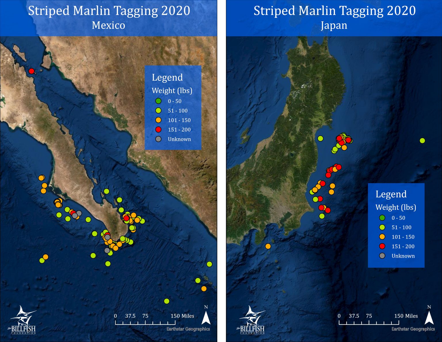 2020 Conservation Record: Striped Marlin