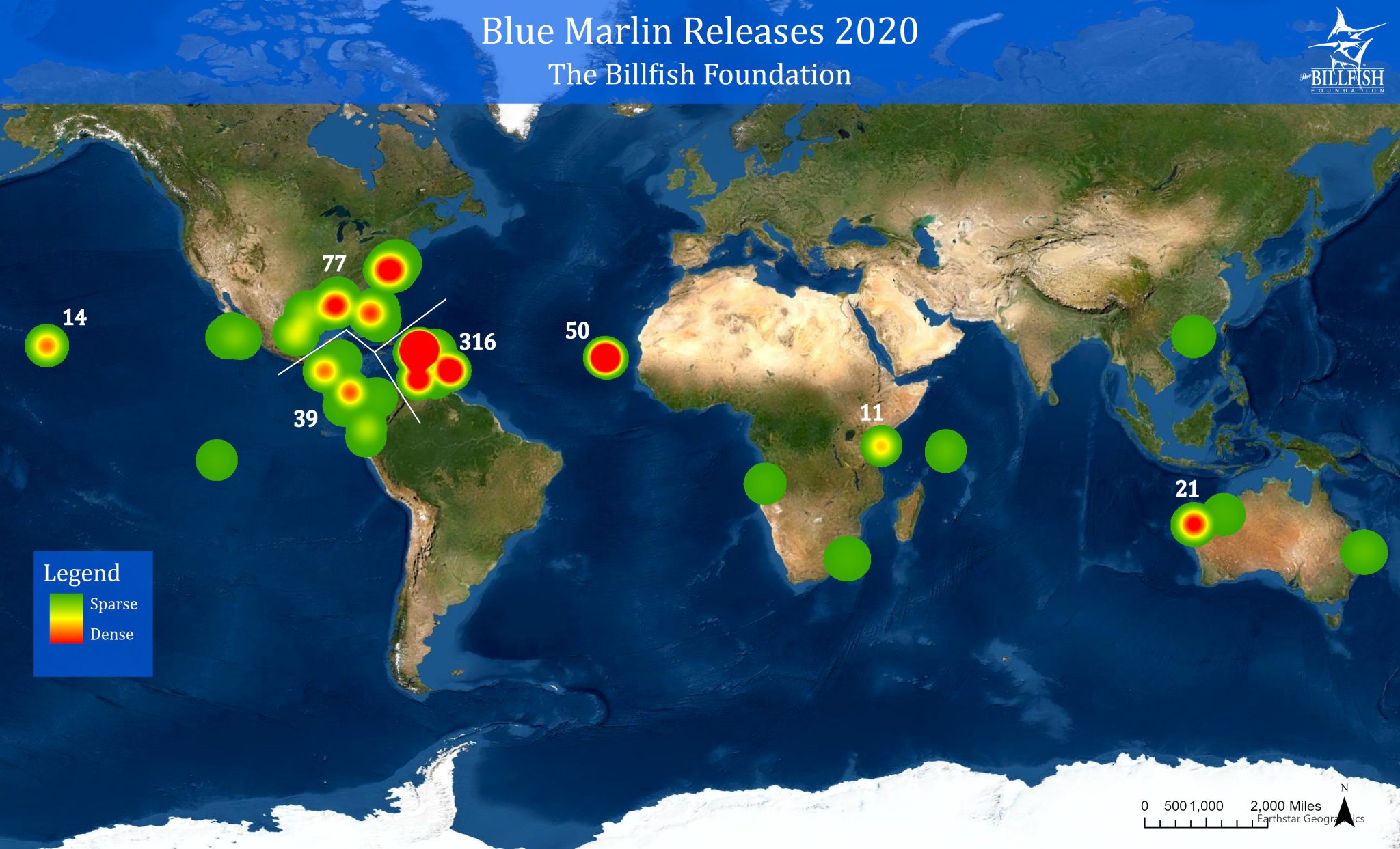 2020 Conservation Record: Blue Marlin