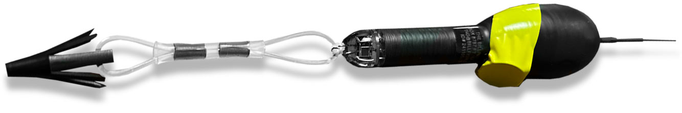 Satellite Tagging - The Billfish Foundation