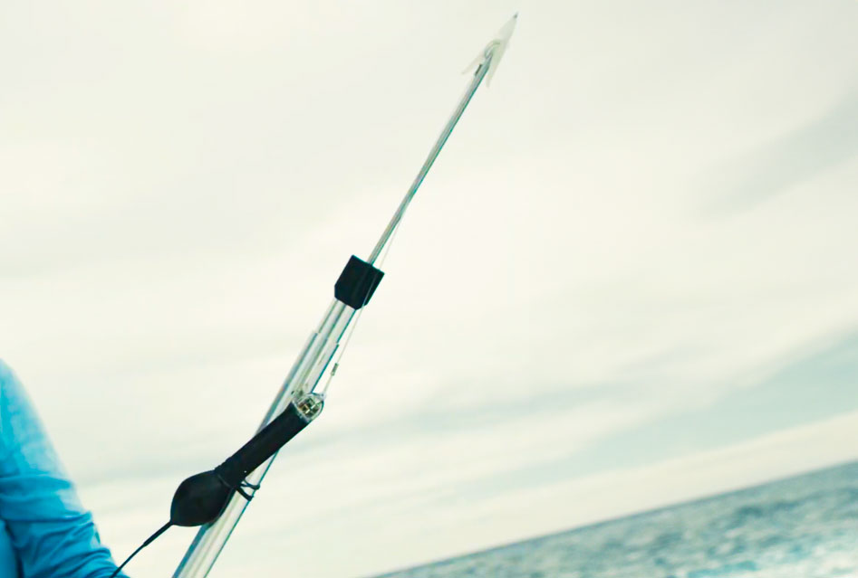 Donate - The Billfish Foundation Donate - The Billfish Foundation