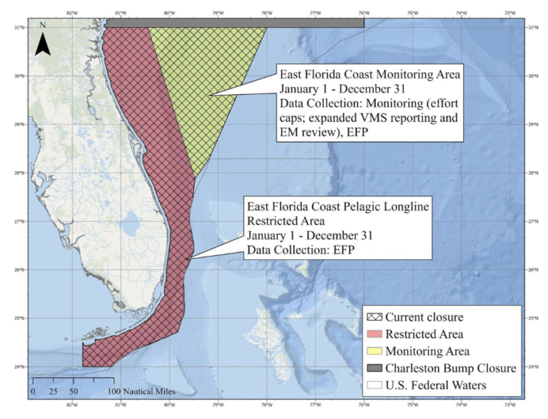 Home - The Billfish Foundation